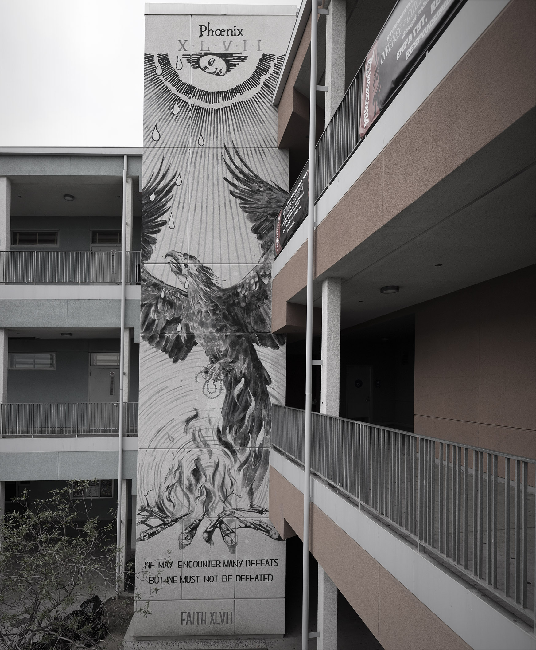PHOENIX - FAITH XLVII